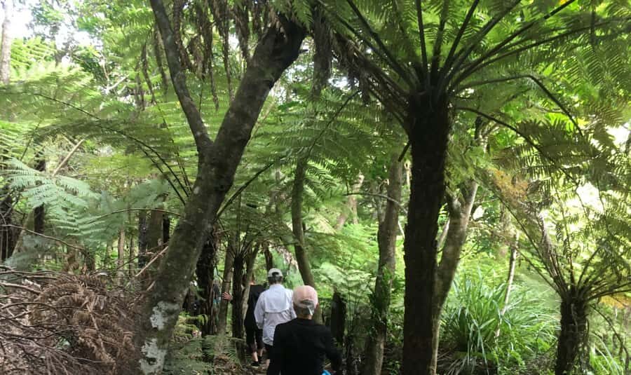 Waiheke Island: 5-Day Self-Guided Te Ara Hura Walk - Final Thoughts: Is It Worth It?