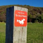 Waiheke Island 5 Day Self Guided Walking Adventure - Accommodation and Meals: Comfort and Gourmet Touches