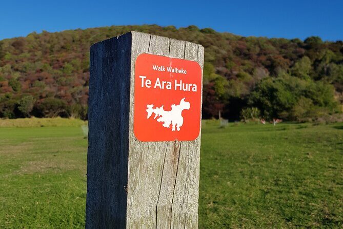 Waiheke Island 5 Day Self Guided Walking Adventure - Accommodation and Meals: Comfort and Gourmet Touches