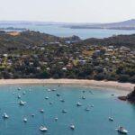 Waiheke Island: Afternoon Wine Tour with Oceanfront Lunch - Why This Tour Works