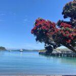 Waiheke Island Gourmet Food and Wine Tour - The Sum Up
