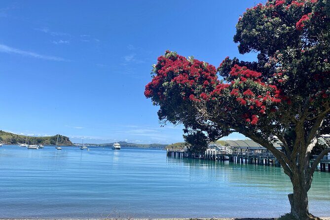 Waiheke Island Gourmet Food and Wine Tour - The Sum Up