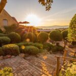 Waiheke Island Half Day Scenic Wine and Lunch - What Makes This Tour Stand Out