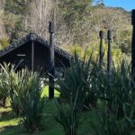 Waiheke Island History and Heritage Tour - What to Expect: The Details