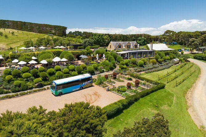 Waiheke Island Hop-On Hop-Off Explorer Bus - The Itinerary and What to Expect