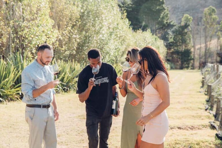 Waiheke Island: Scenic Island Wine Tour & Local Wine Tasting - Who Would Enjoy This Tour?