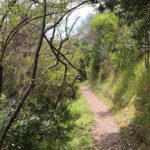 Waiheke Island Vineyards and Bush Walk - What to Expect at the Vineyards