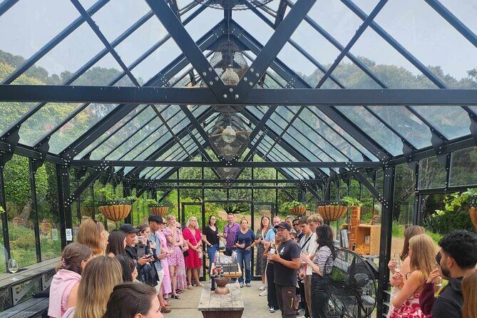 Waiheke Island Wine Tour with Tastings & Gourmet Beachfront Lunch - What You’ll Love About This Tour