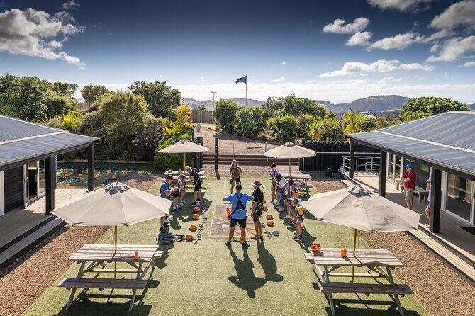 Waiheke Island: Zipline And Forest Walk - The Authentic Experience and Audience