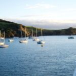 Waiheke Wine and Dine - Batch Winery - What Are the Main Benefits?