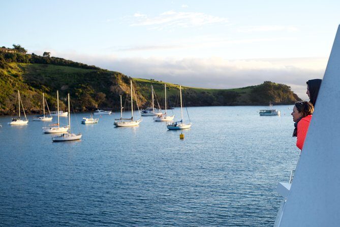 Waiheke Wine and Dine - Batch Winery - What Are the Main Benefits?