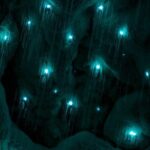 Waiomio Kawiti Glowworm Cave & Ngawha Hot Springs day tour - What’s Included and What to Keep in Mind