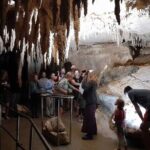 Waipu Milkyway Cave and East Coast Day Tour from Auckland - Transportation and Guide Experience