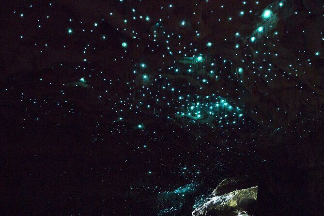 Waitakere Auckland Private Tour - Who Will Love This Tour?