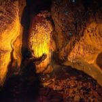 Waitomo Caves Private Tour from Auckland - What Makes This Tour Stand Out