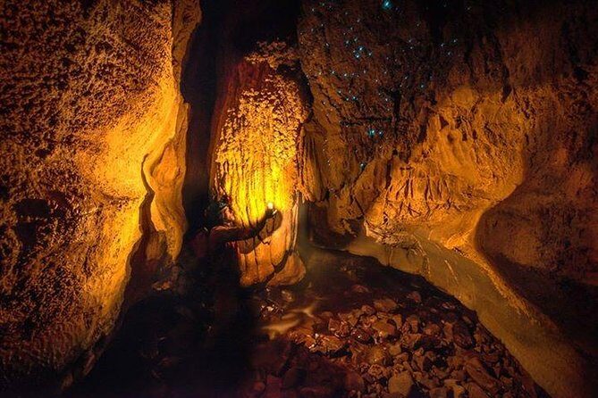 Waitomo Caves Private Tour from Auckland - What Makes This Tour Stand Out