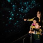 Waitomo Glowworm Caves and Kiwi House Small Group from Auckland - What Makes This Tour Stand Out?
