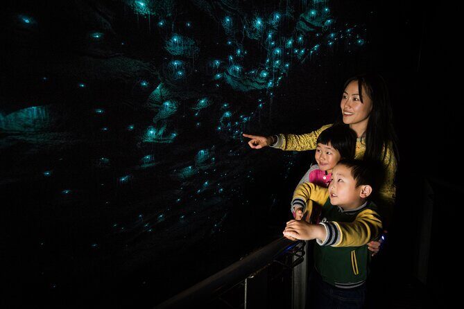 Waitomo Glowworm Caves and Kiwi House Small Group from Auckland - What Makes This Tour Stand Out?