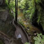 Waitomo & The King Country Exclusive Luxury Day Tour from Auckland - An Overview of the Tour Experience