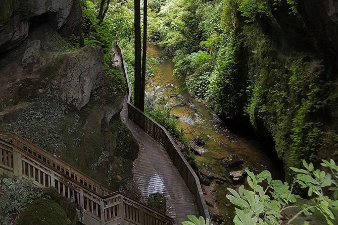 Waitomo & The King Country Exclusive Luxury Day Tour from Auckland - An Overview of the Tour Experience