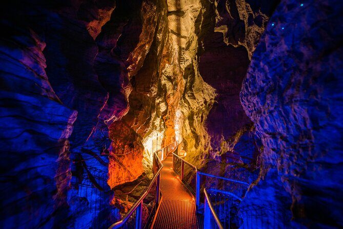 Waitomo Triple Cave Experience - Private Tour From Auckland - Detailed Breakdown of the Itinerary