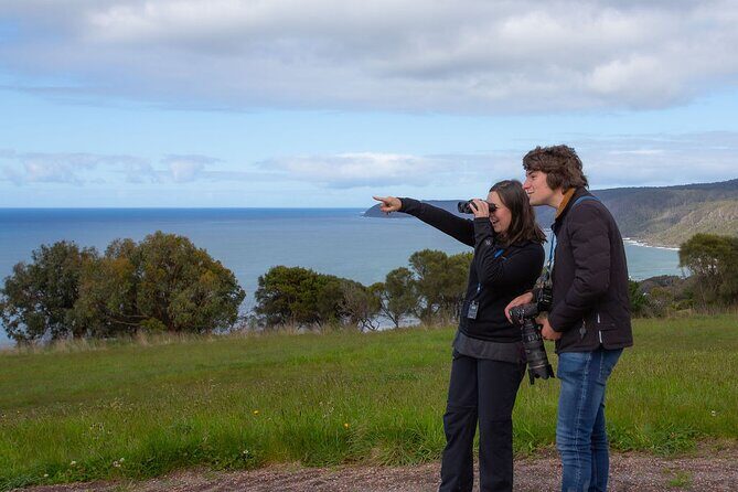 Walk with Wildlife: Guided Tour in Great Ocean Road - Who Would Love This Tour?