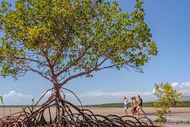 Walkabout Cultural Adventures - Ngana Julaymba Dungay Full Day - Transportation and Group Size