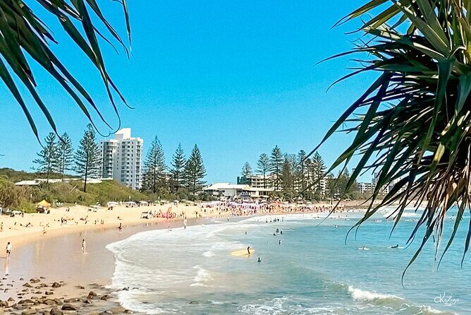 Walking Photography Tours of Mooloolaba and Alexandra Headland - Why this Tour Works Well