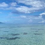Want to escape? Treat yourself to a snorkeling session in Tahiti! - The Value of the Experience