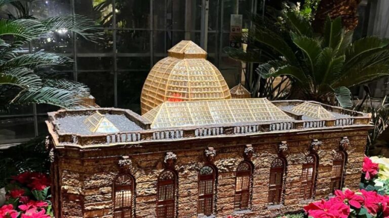 Washington, DC: Christmas Tree & Holiday Lights Bus Tour - What’s Included and Practical Info