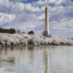 Washington DC: Must See Sights Half-Day Tour - Who Will Love This Tour?