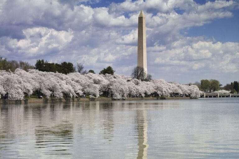 Washington DC: Must See Sights Half-Day Tour - Who Will Love This Tour?