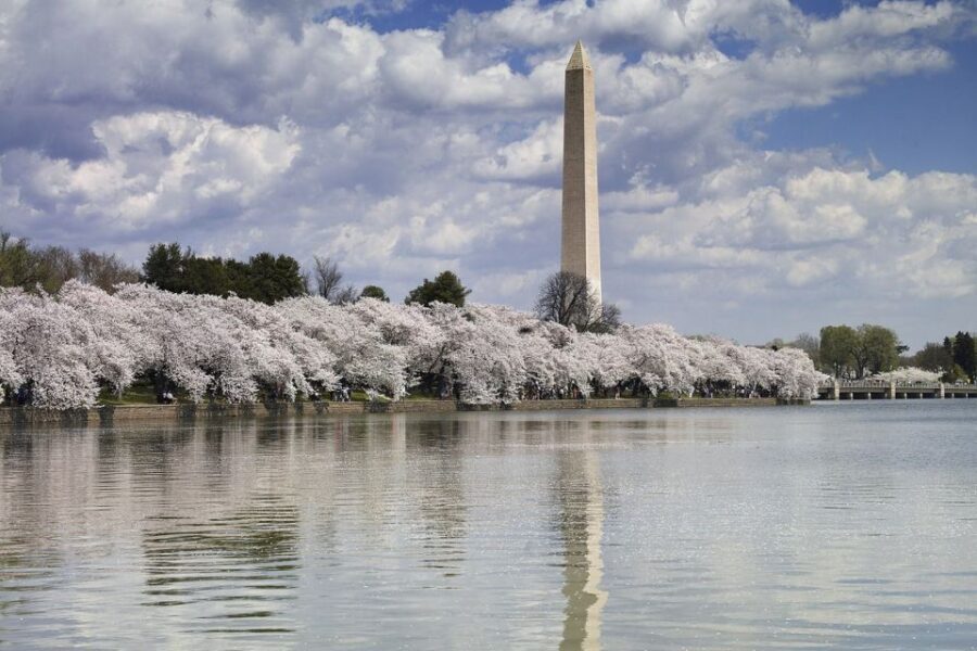 Washington DC: Must See Sights Half-Day Tour - Who Will Love This Tour?
