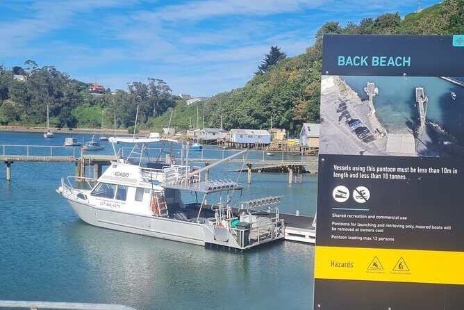 Water Taxi and Shuttle to Larnach Castle - The Sum Up: Who Will Love This Tour?