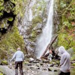 Waterfall, Skywalk, Lagoon Picnic, Castle and Whales in Victoria - Practical Details: What You Need to Know