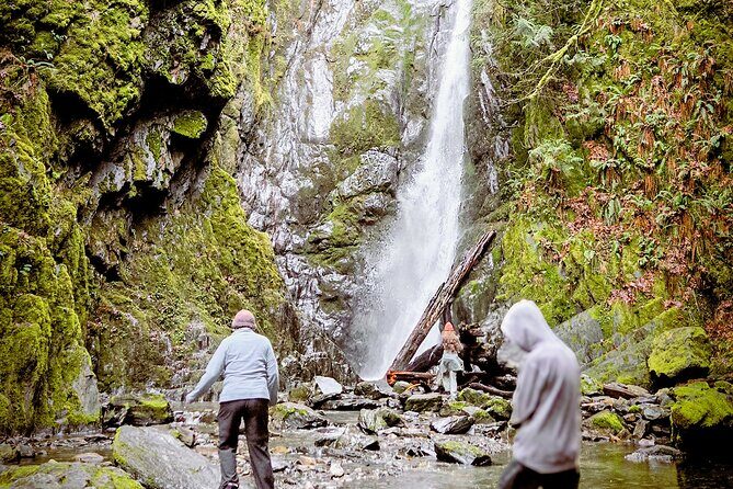 Waterfall, Skywalk, Lagoon Picnic, Castle and Whales in Victoria - Practical Details: What You Need to Know