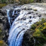 Waterfalls, Coombs and Cathedral Grove Rainforest Tour - Transport, Timing, and Comfort