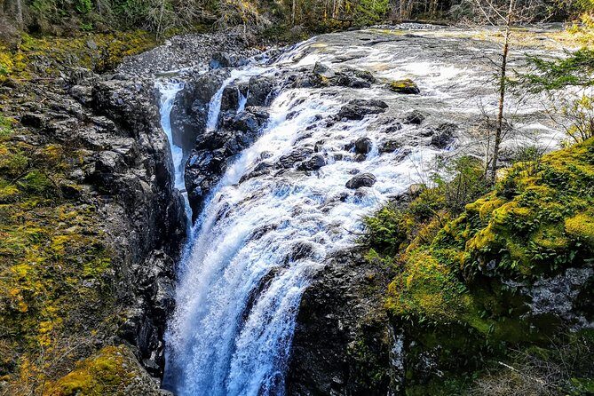 Waterfalls, Coombs and Cathedral Grove Rainforest Tour - Transport, Timing, and Comfort