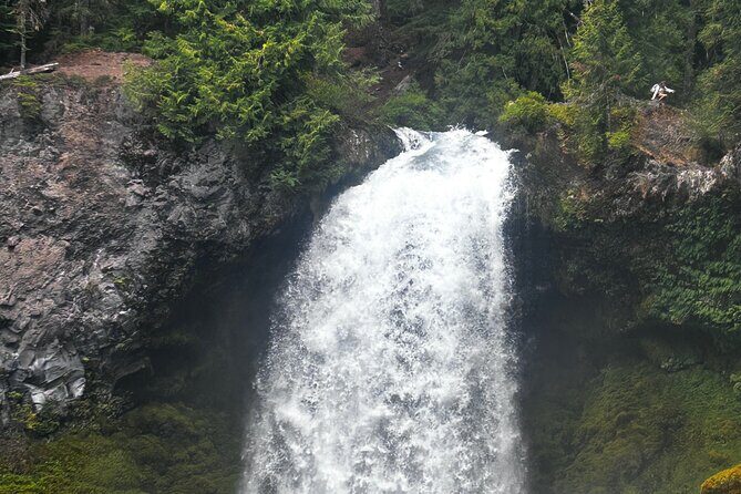 Waterfalls & the McKenzie River in a Tesla - Who Will Love This Tour?