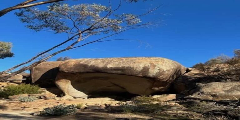 Wave Rock Private Tour - Practical Details and What to Expect