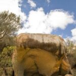 Wave Rock, York and Aboriginal Cultural Day Tour from Perth - The Big Picture: Value and Practicality