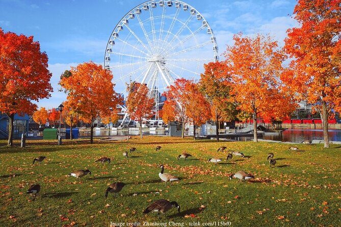 Welcome to Montreals Old Town: Private 2-hour Walking Tour - Price and Value Analysis