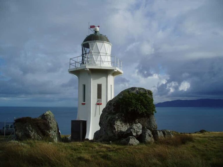 Wellington: Baring Head Lighthouse Walk - Detailed Review of the Wellington: Baring Head Lighthouse Walk