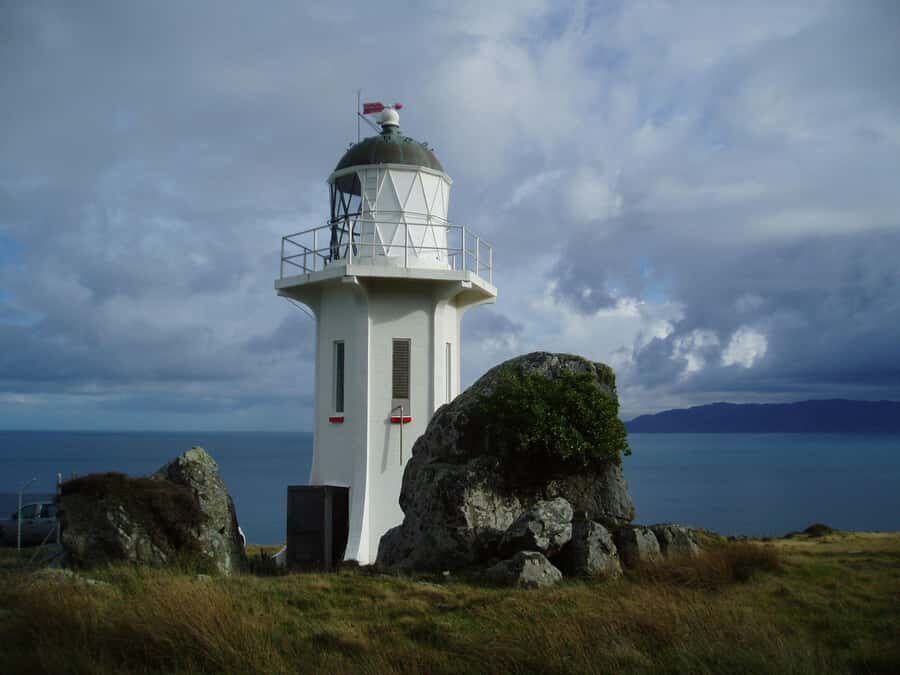 Wellington: Baring Head Lighthouse Walk - Detailed Review of the Wellington: Baring Head Lighthouse Walk
