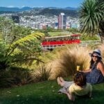 Wellington Cave to Coast Highlights Tour (5 Hours with Lunch) - Practical Aspects: What to Expect