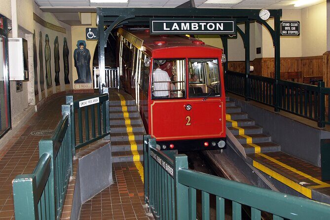 Wellington city heights sightseeing Private 5 hour tour - Final Thoughts: Who Should Book This Tour?