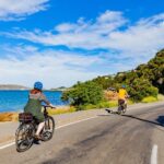 Wellington Electric Bike Rental - Who Should Consider This Experience?