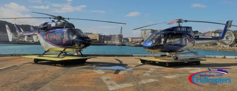 Wellington Helicopter Scenic Flight - The Practicalities: What’s Included and What to Know