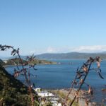 Wellington Scenic Full Day Tour - In-Depth Look at the Itinerary