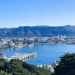 Wellington Shore Excursion: From Cave to Coast Highlights Private Tour - Transportation and Comfort